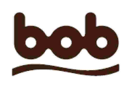 Appeal Board reversed examiner’s rejection in the BOB trademark dispute ...